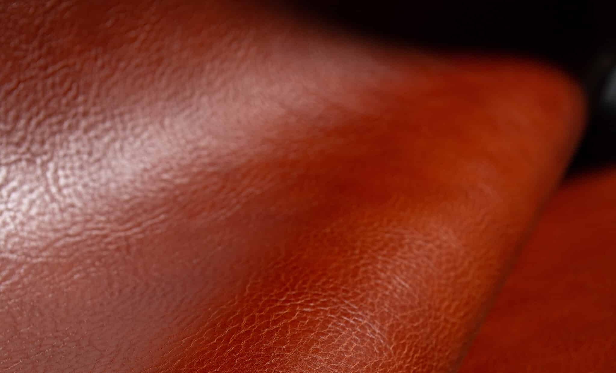 Hide and skin production around the world - Splenda Quality Leather
